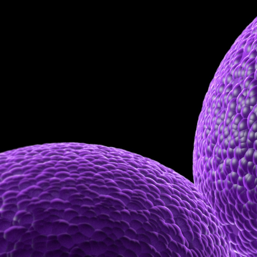 3D Model Microbes Bacteria - TurboSquid 1626193