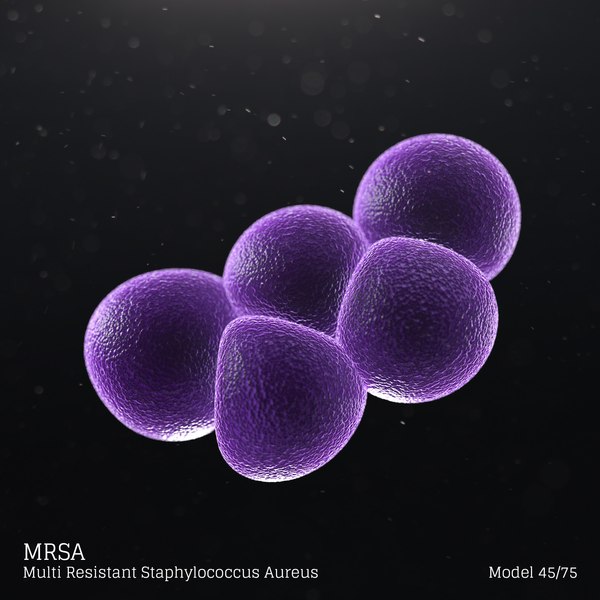 3D Mrsa Models | TurboSquid