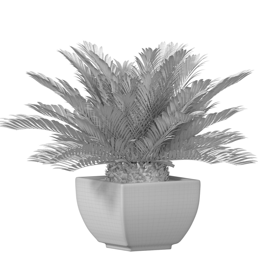 Decorative Evergreen Cycas Palm Tree In Lower Pot Urn ArtDeco 3D Model ...