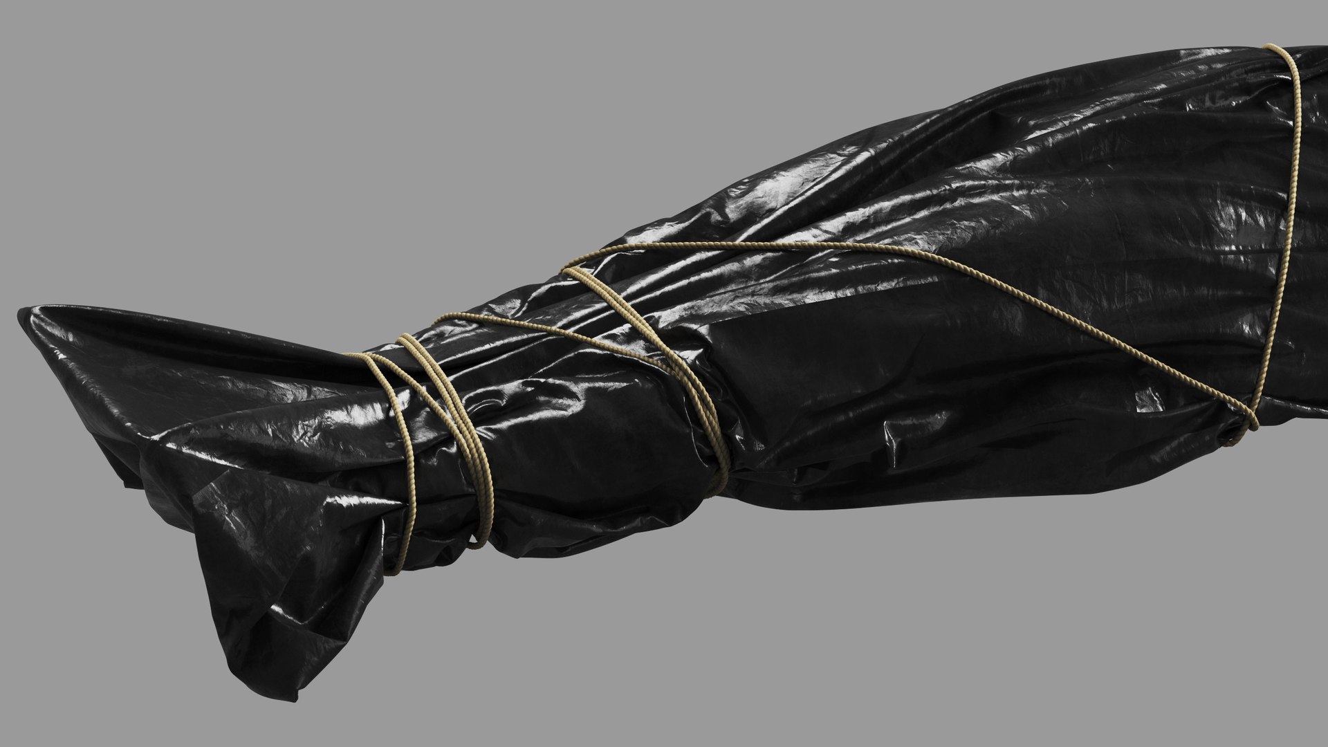 3D Covered Corpse Collection V2 B - TurboSquid 2368486