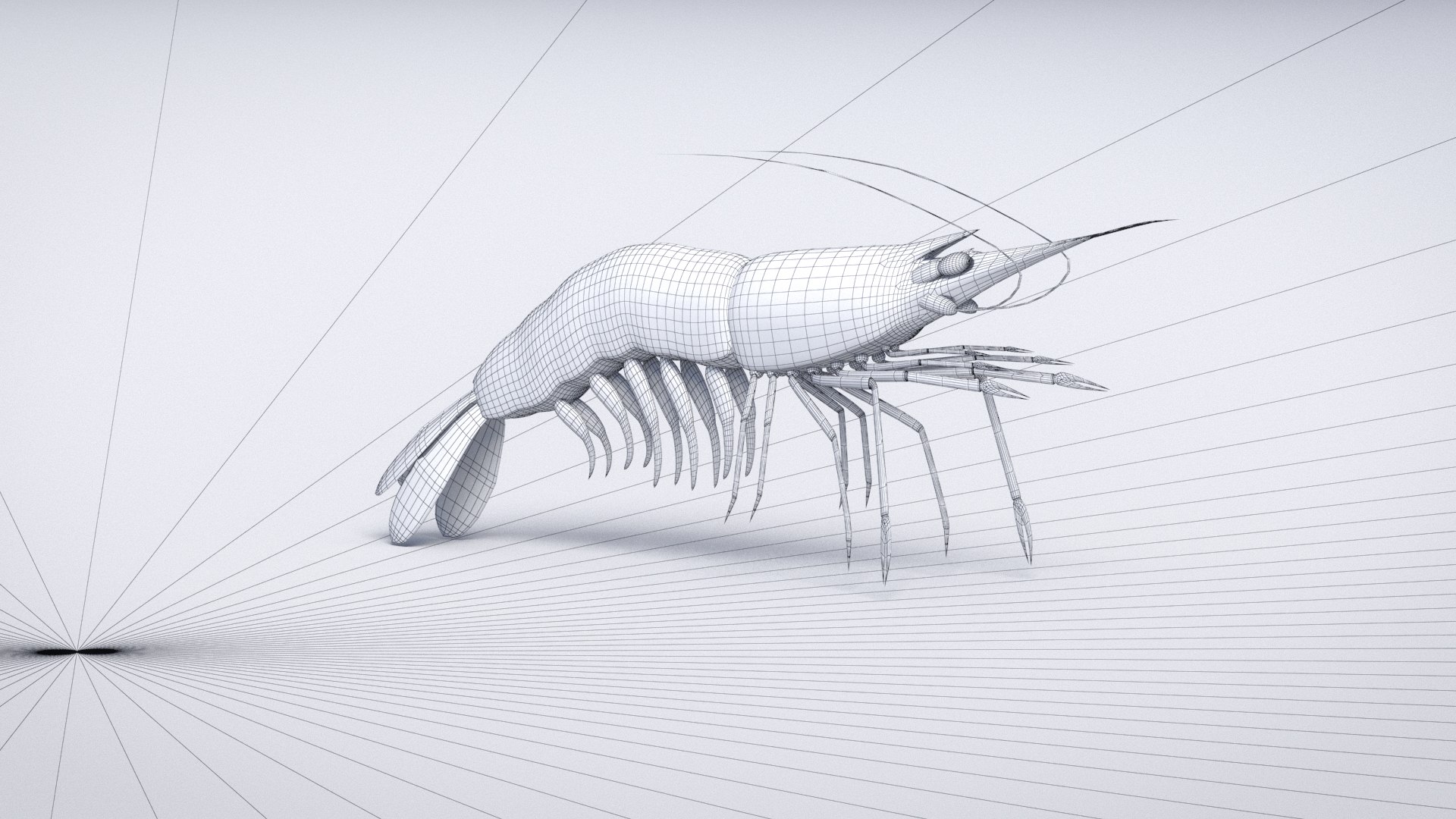 3D Cooked Shrimp Model - TurboSquid 2319776
