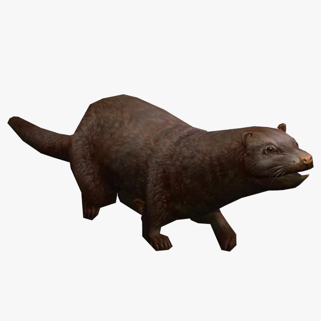 Animated marten 3D model - TurboSquid 2057612
