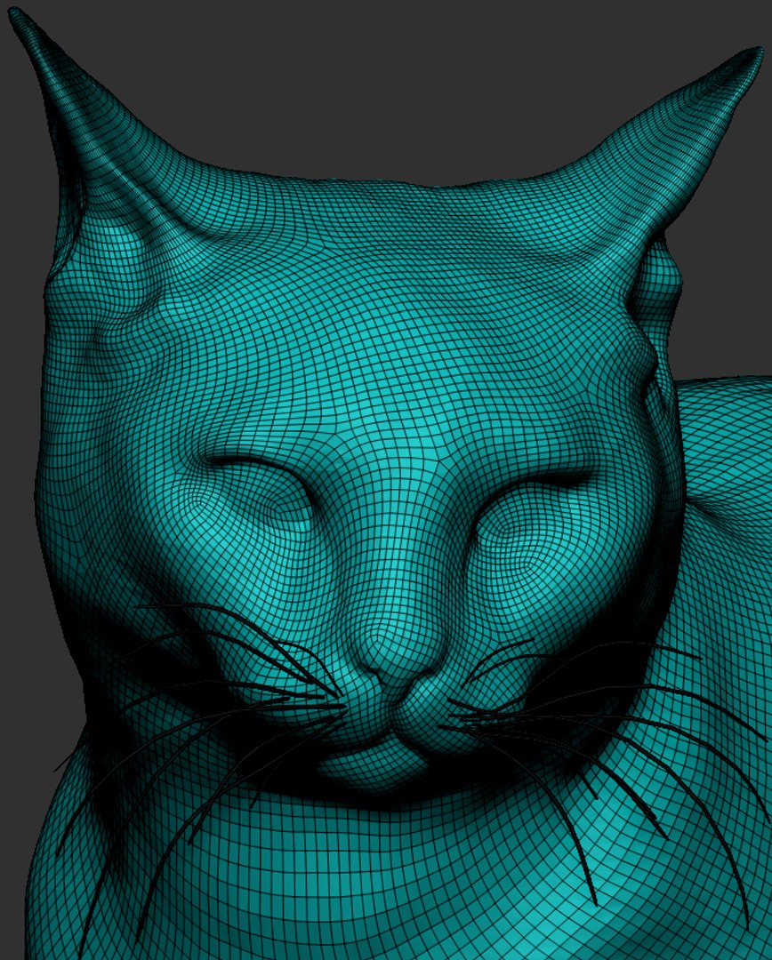 3D Model Cat 25 - TurboSquid 1887036