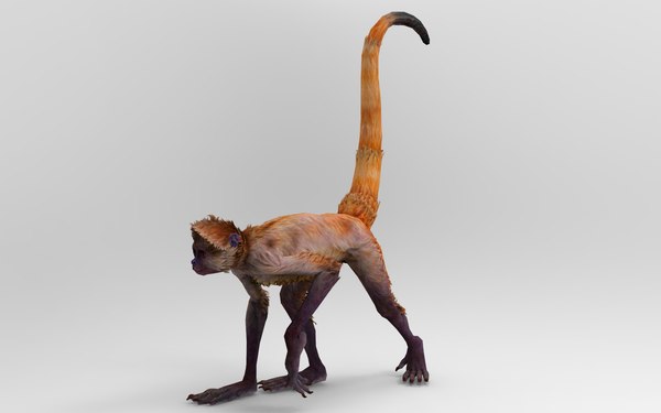 Monkey 18 Animations Modelo 3D - TurboSquid 1894671