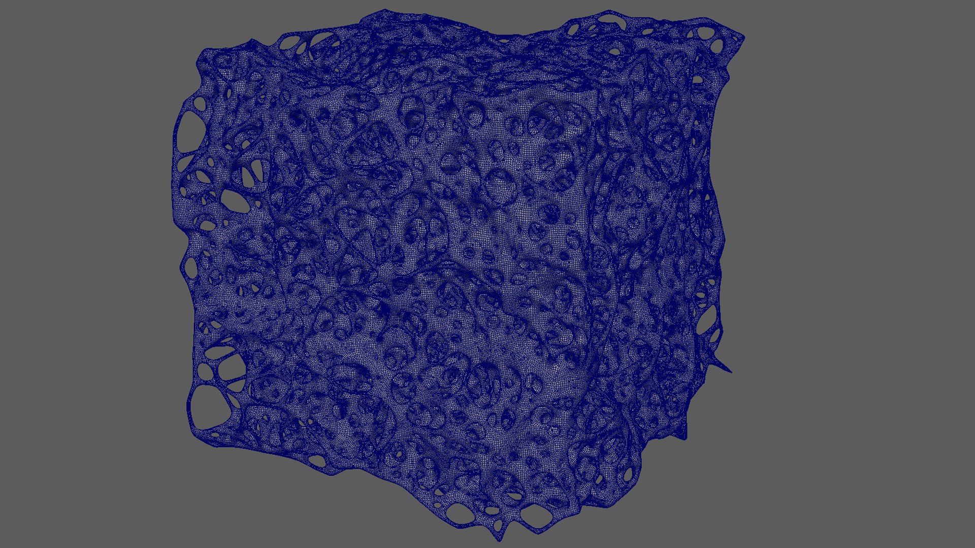 Bone Structure 3D Model - TurboSquid 2237259