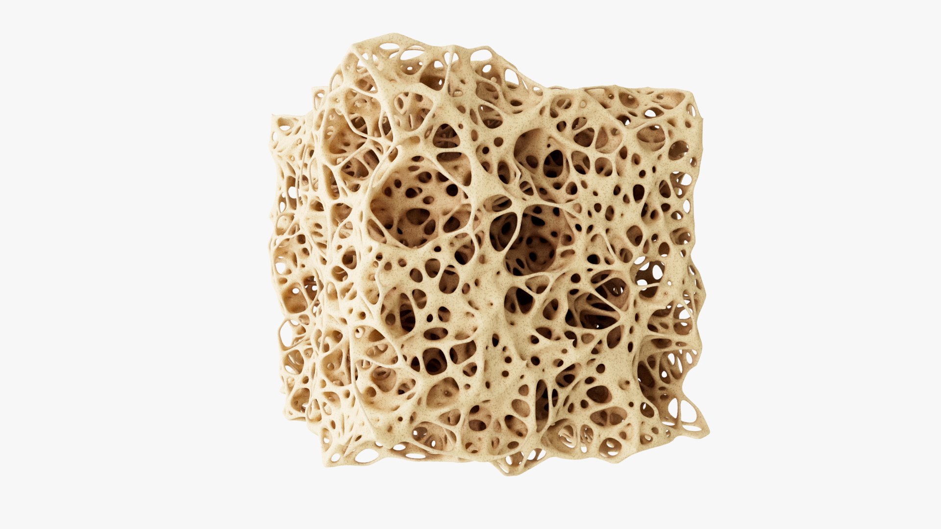 Bone Structure 3D Model - TurboSquid 2237259