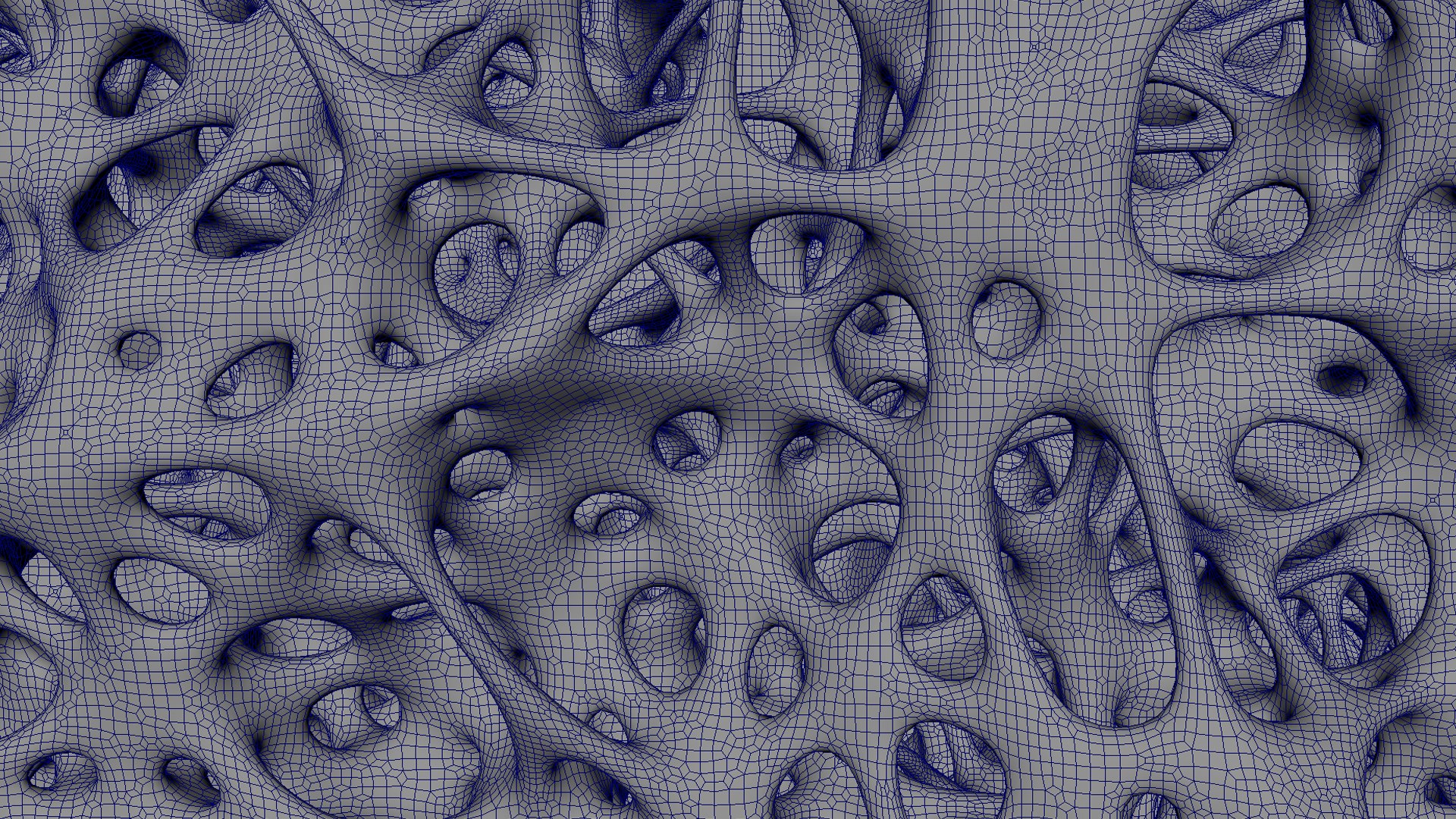 Bone Structure 3D Model - TurboSquid 2237259