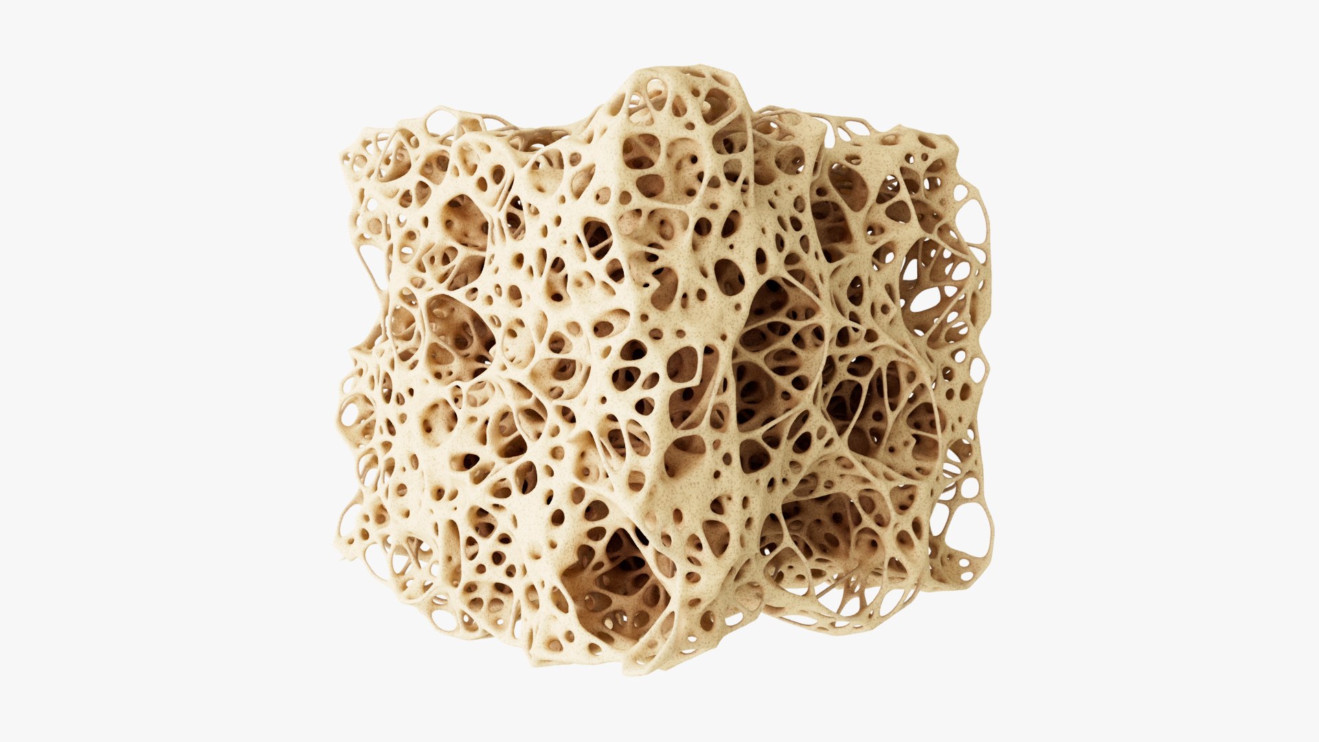 Bone Structure 3D Model - TurboSquid 2237259