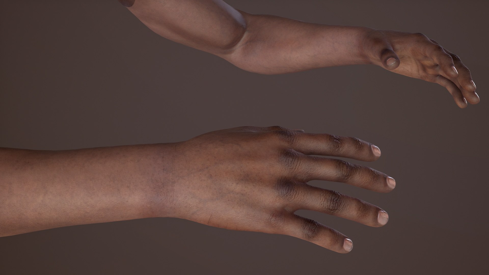 FPS Arms 02 3D Model - TurboSquid 2130819