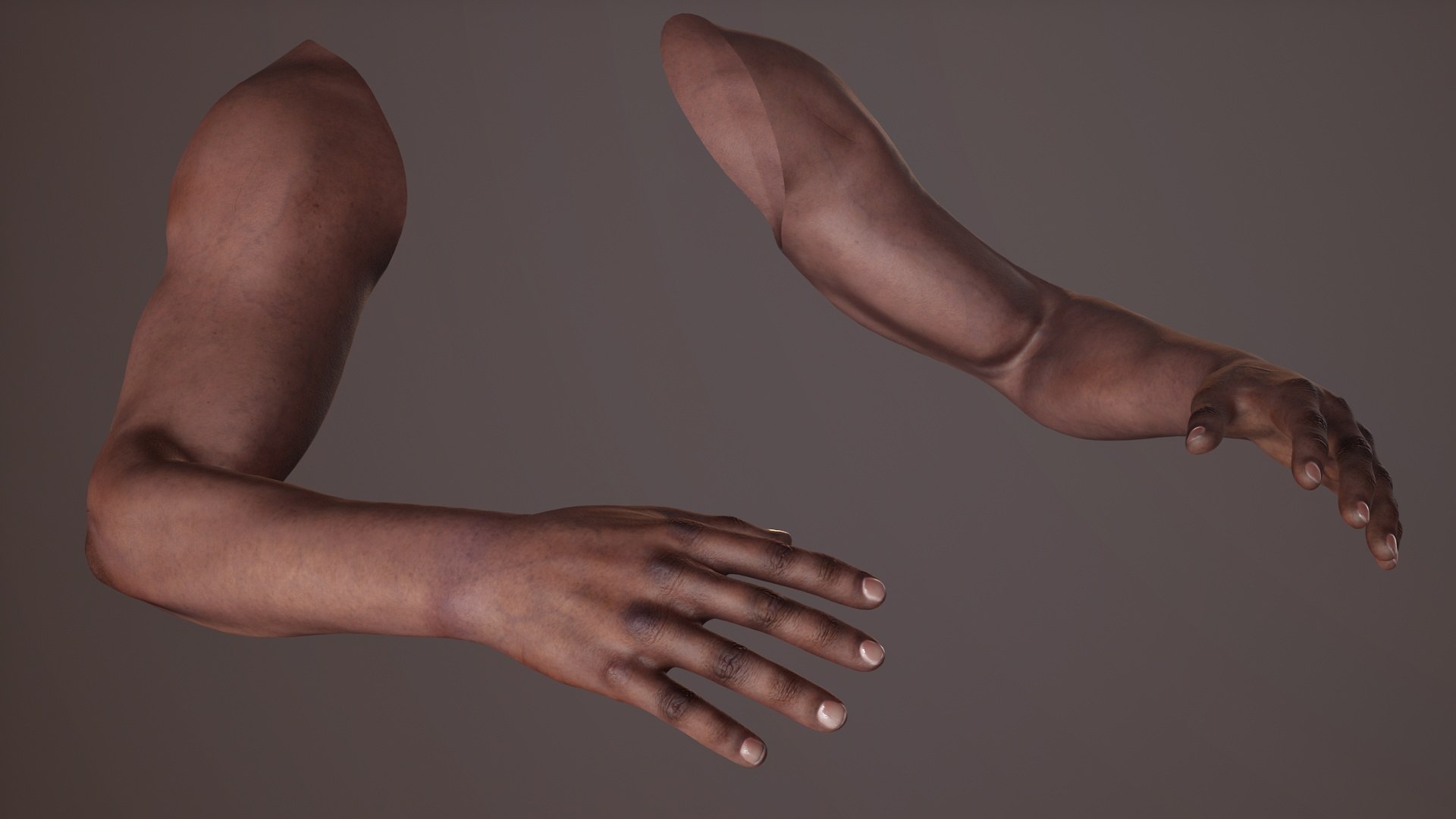 FPS Arms 02 3D Model - TurboSquid 2130819