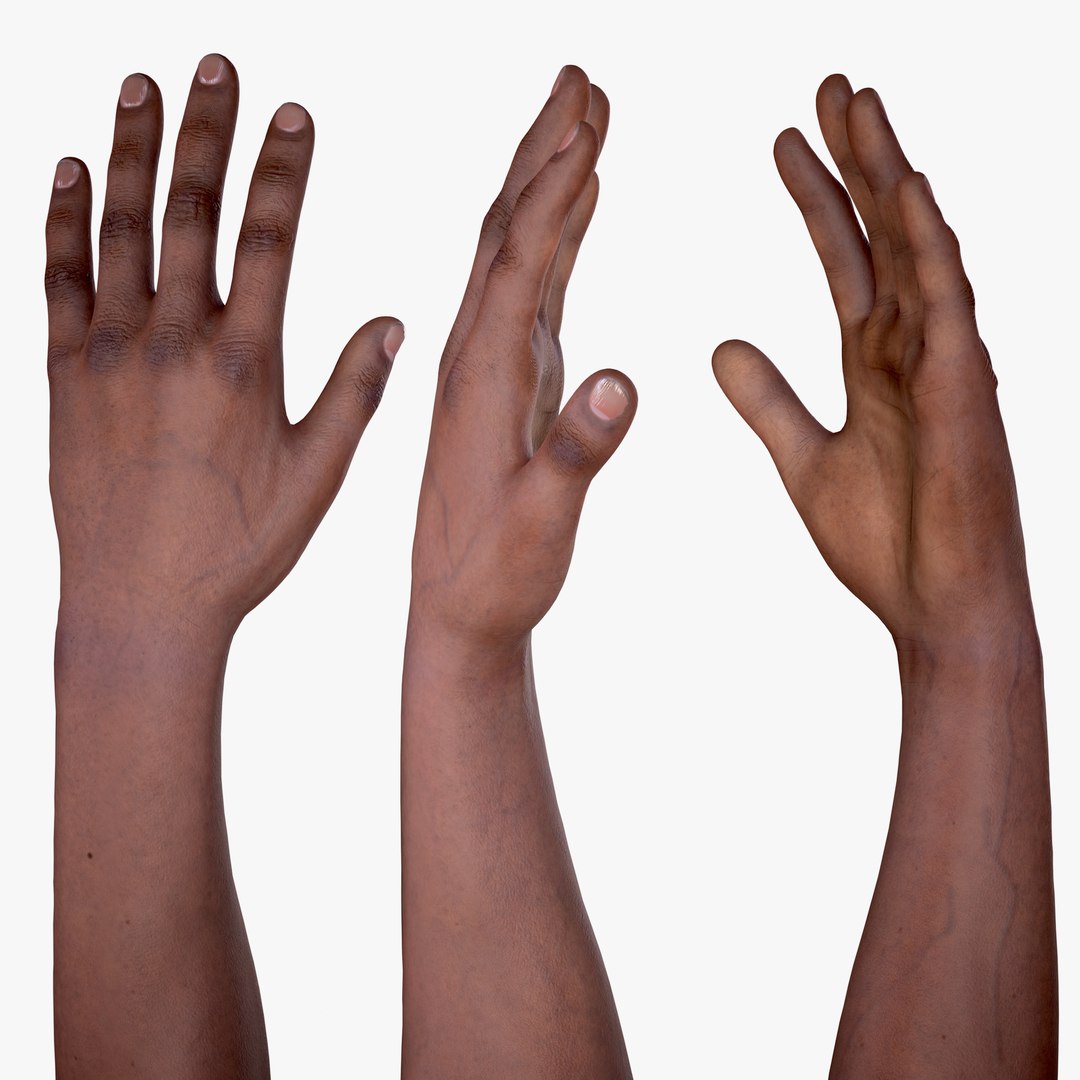 FPS Arms 02 3D Model - TurboSquid 2130819