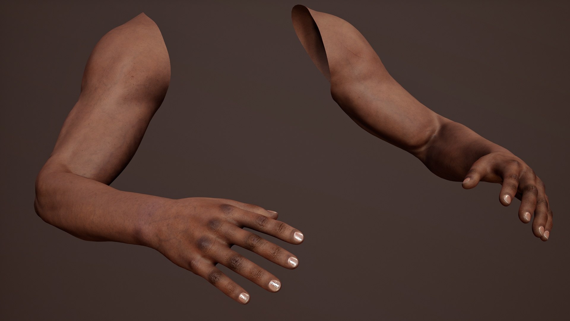 FPS Arms 02 3D Model - TurboSquid 2130819