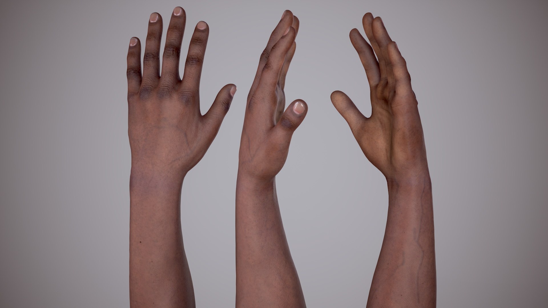 FPS Arms 02 3D Model - TurboSquid 2130819