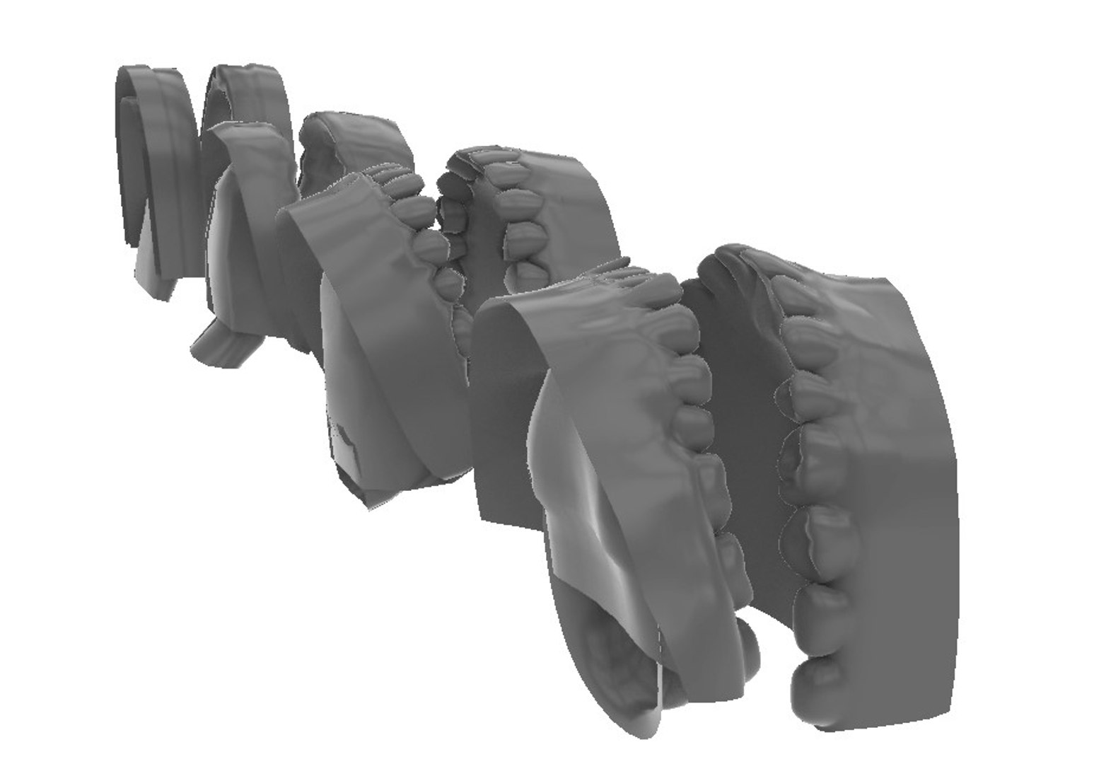 Human Jaw With Teeth Tooth 3D Model Lowpoly And High Definition Model ...