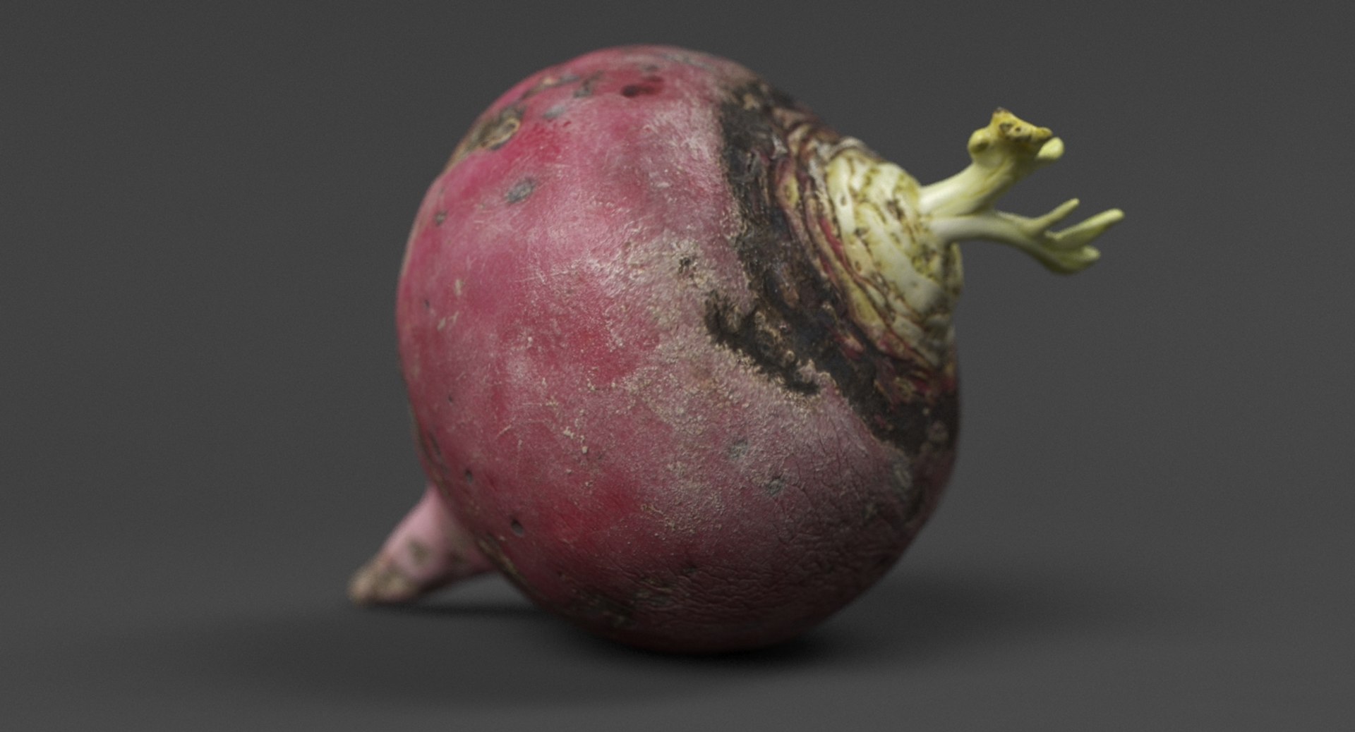 Red Radish 01 3D Model - TurboSquid 1390329