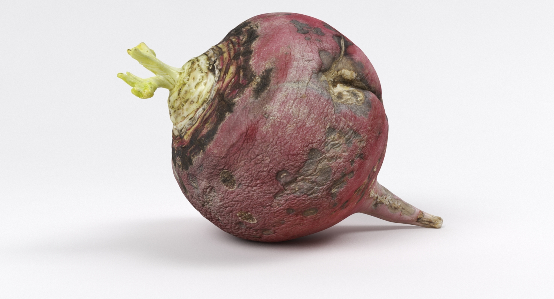Red Radish 01 3D Model - TurboSquid 1390329