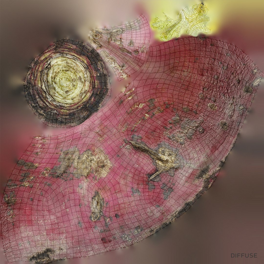 Red Radish 01 3D Model - TurboSquid 1390329