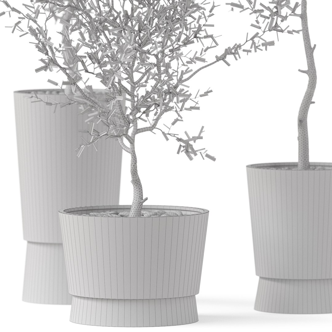 3D Plants collection 891 - TurboSquid 2017934