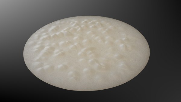 Photorealistic tortilla pan spatula 3D model - TurboSquid 1629949