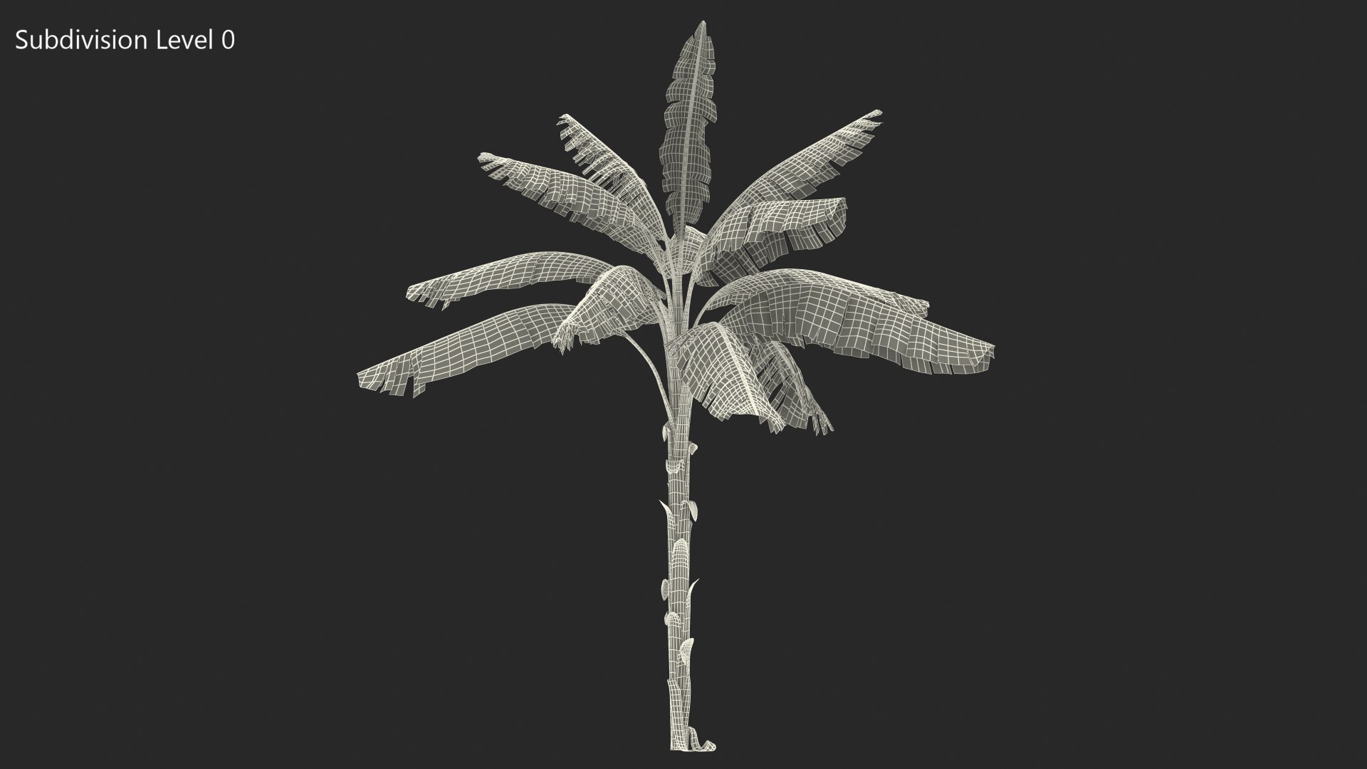 Tall banana tree 3D model - TurboSquid 1581069