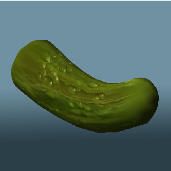 Free Pickle 3D Models for Download | TurboSquid