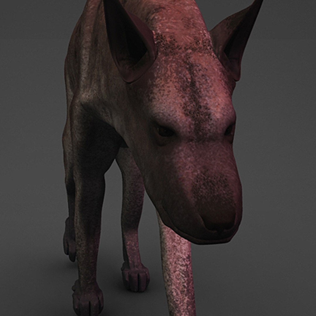 3d Super Hyena Crocuta