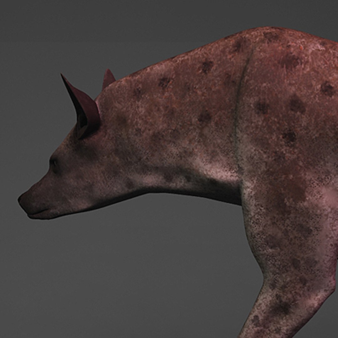 3d Super Hyena Crocuta