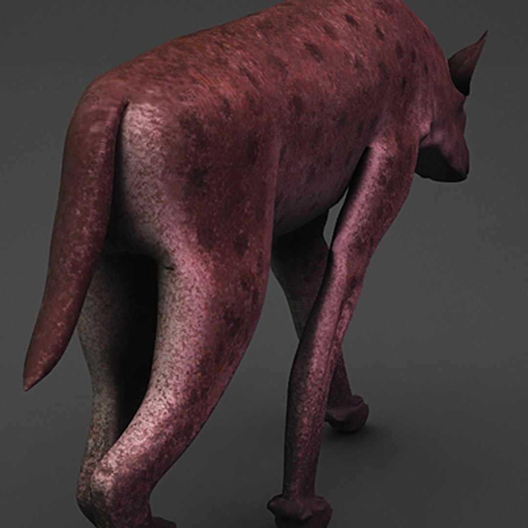 3d Super Hyena Crocuta