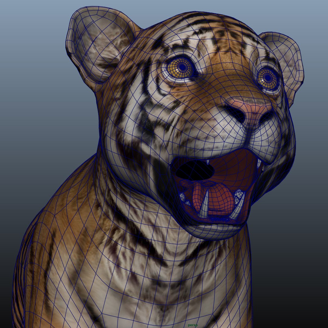 3d rigged baby tiger