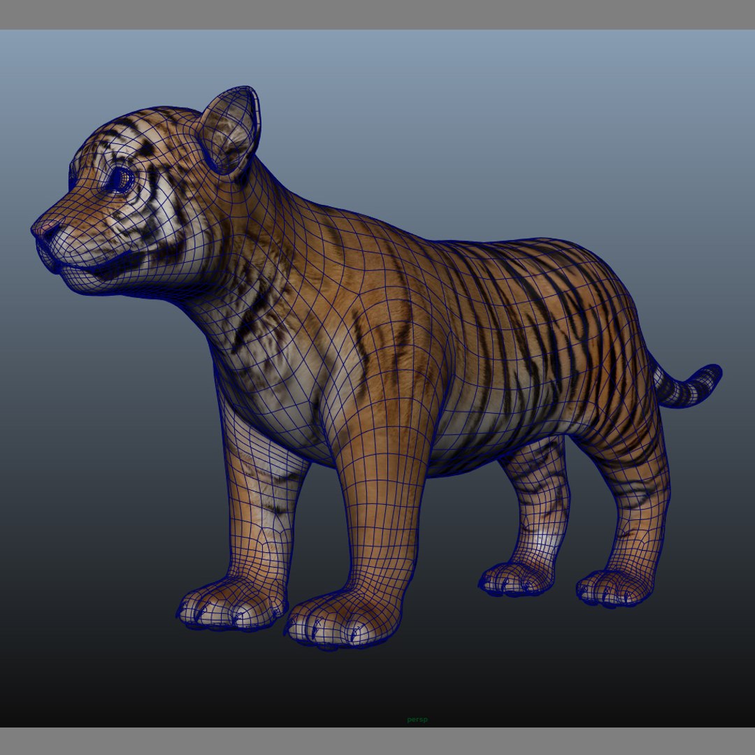 3d rigged baby tiger