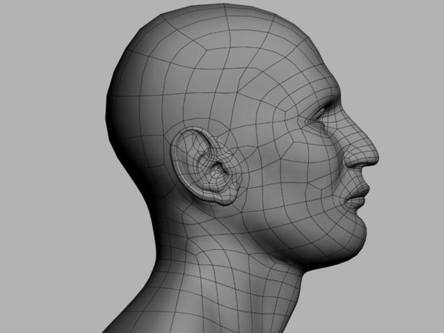 Free Rig Bones Skin 3d Model