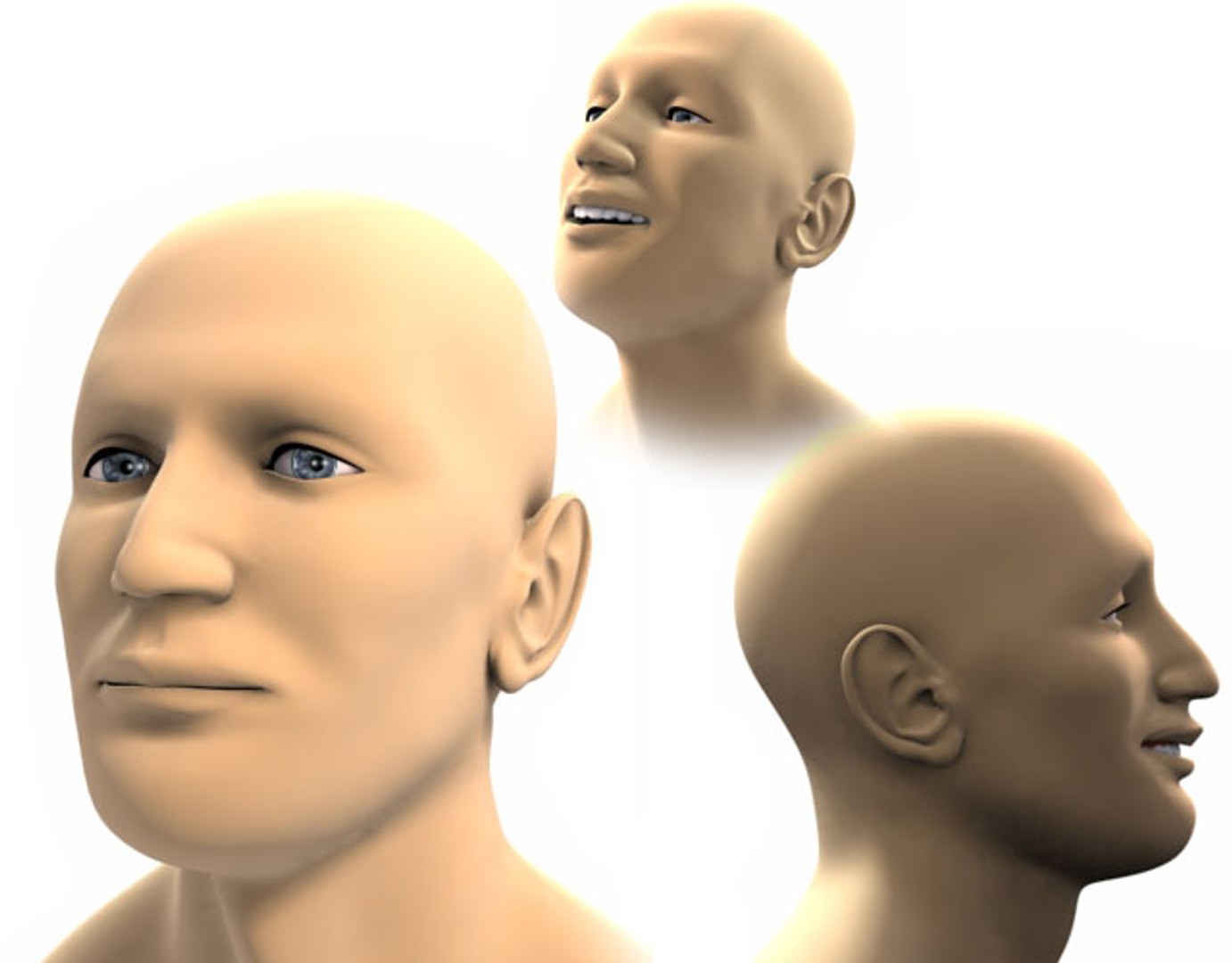 Free Rig Bones Skin 3d Model