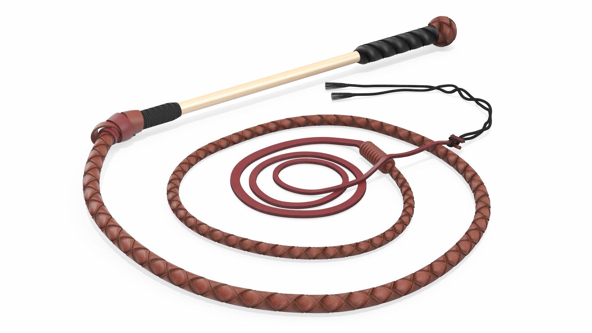 3D Braided Leather Bullwhip Coiled Brown Model - TurboSquid 2211442