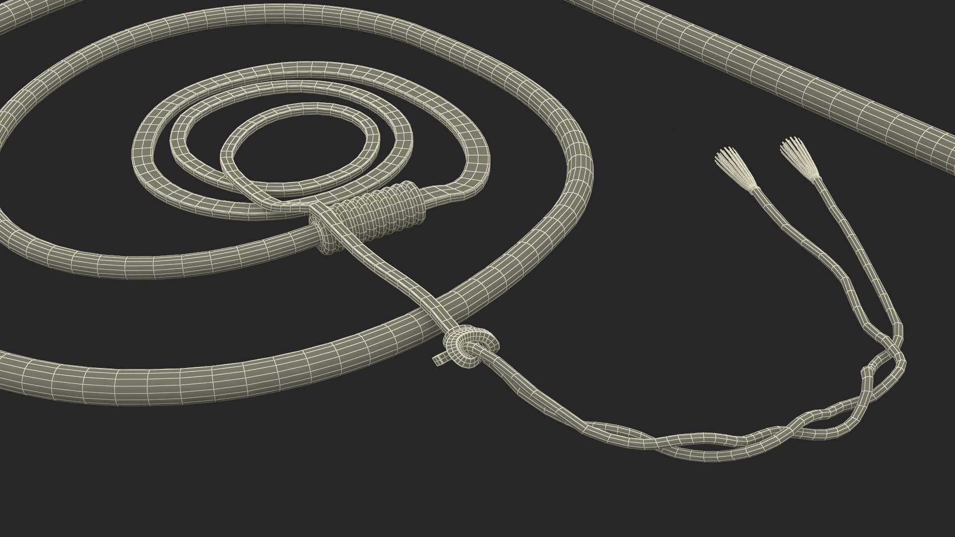 3D Braided Leather Bullwhip Coiled Brown Model - TurboSquid 2211442