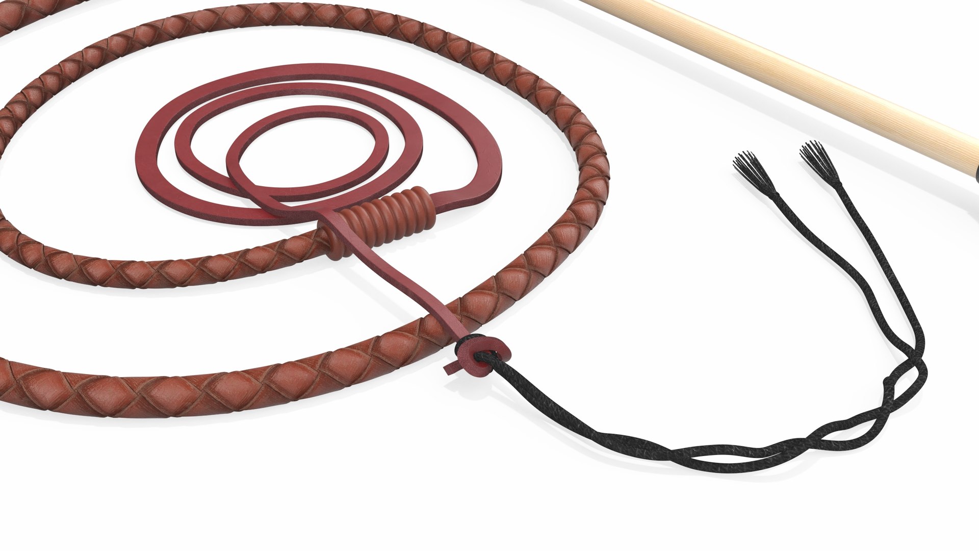 3D Braided Leather Bullwhip Coiled Brown Model - TurboSquid 2211442