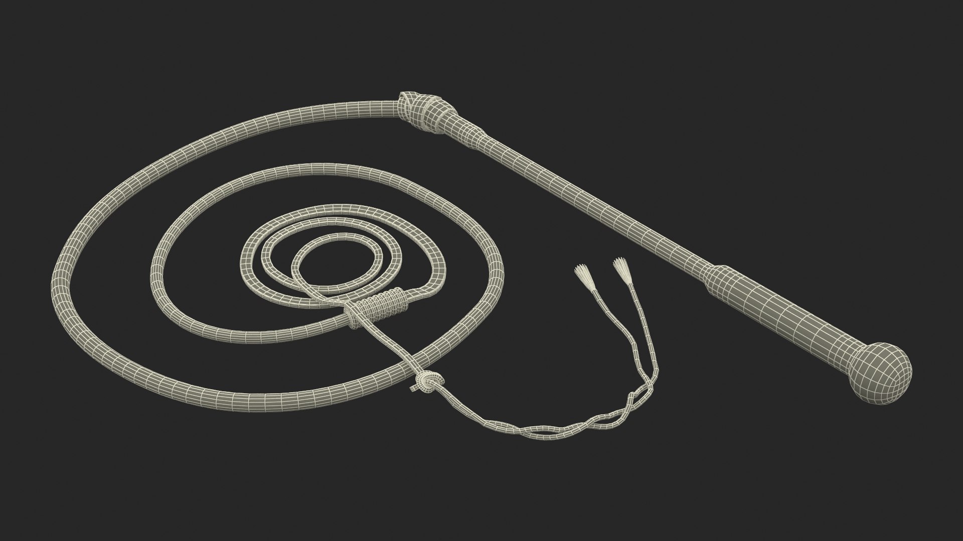 3D Braided Leather Bullwhip Coiled Brown Model - TurboSquid 2211442