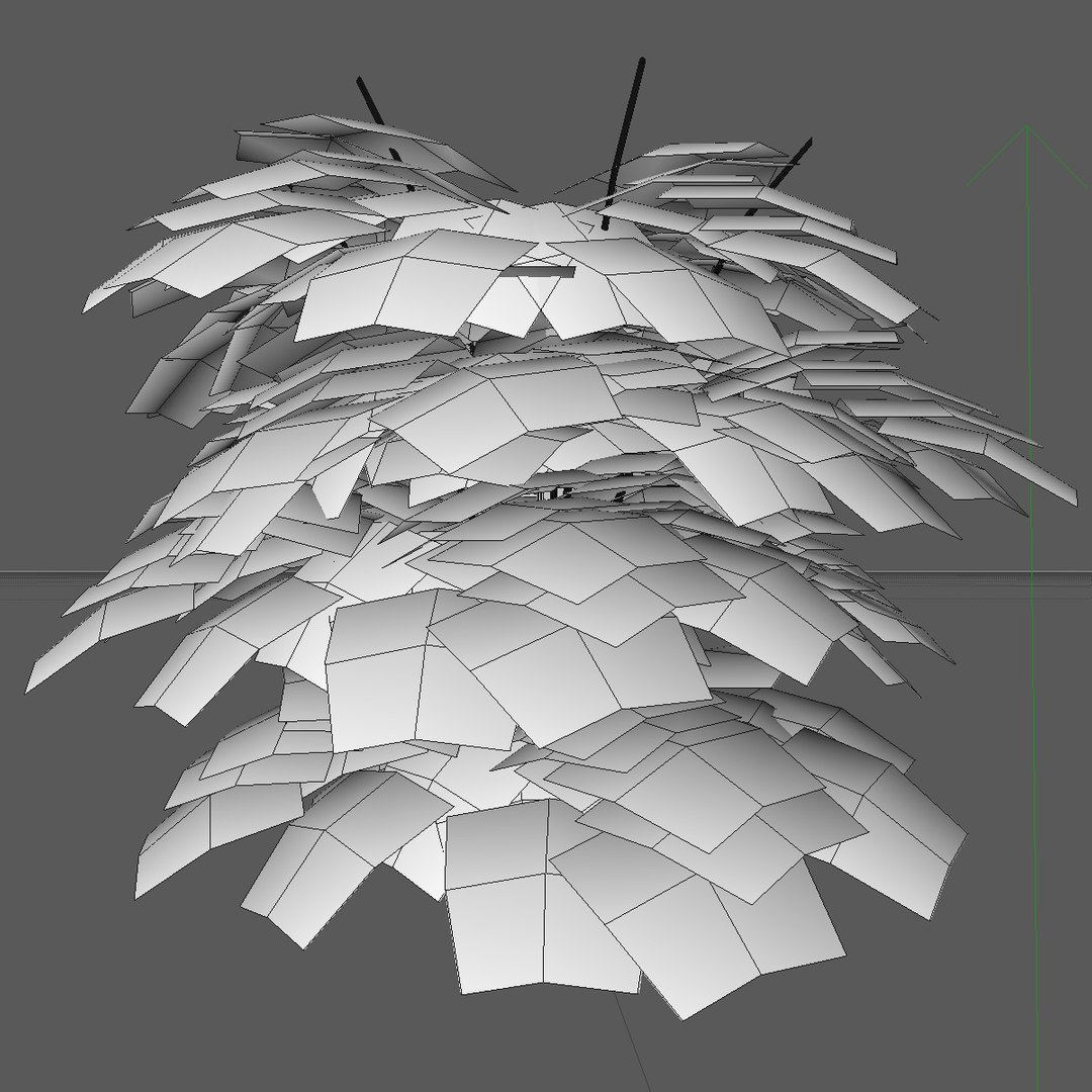Maya Plant Bush