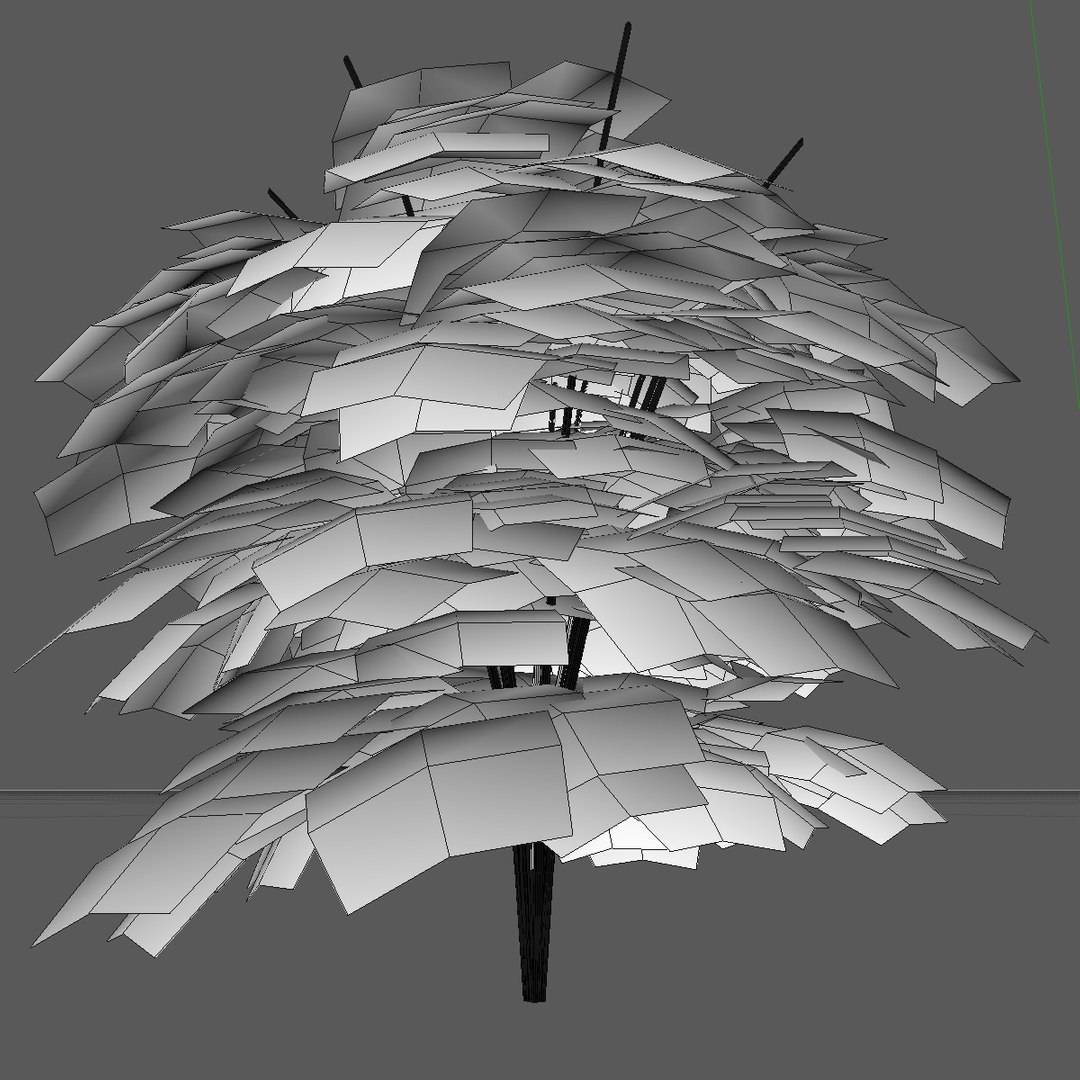 Maya Plant Bush