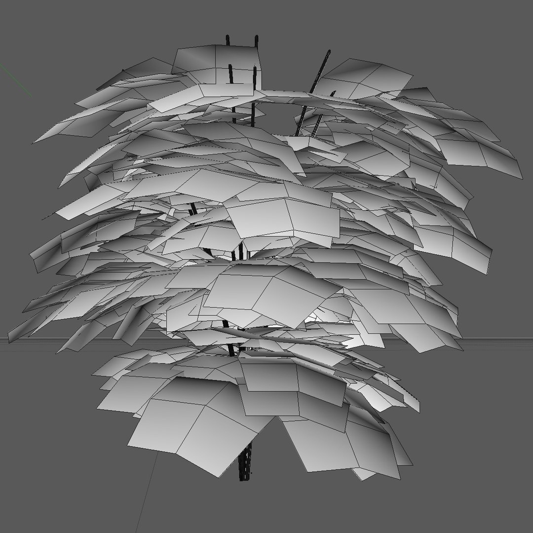 Maya Plant Bush