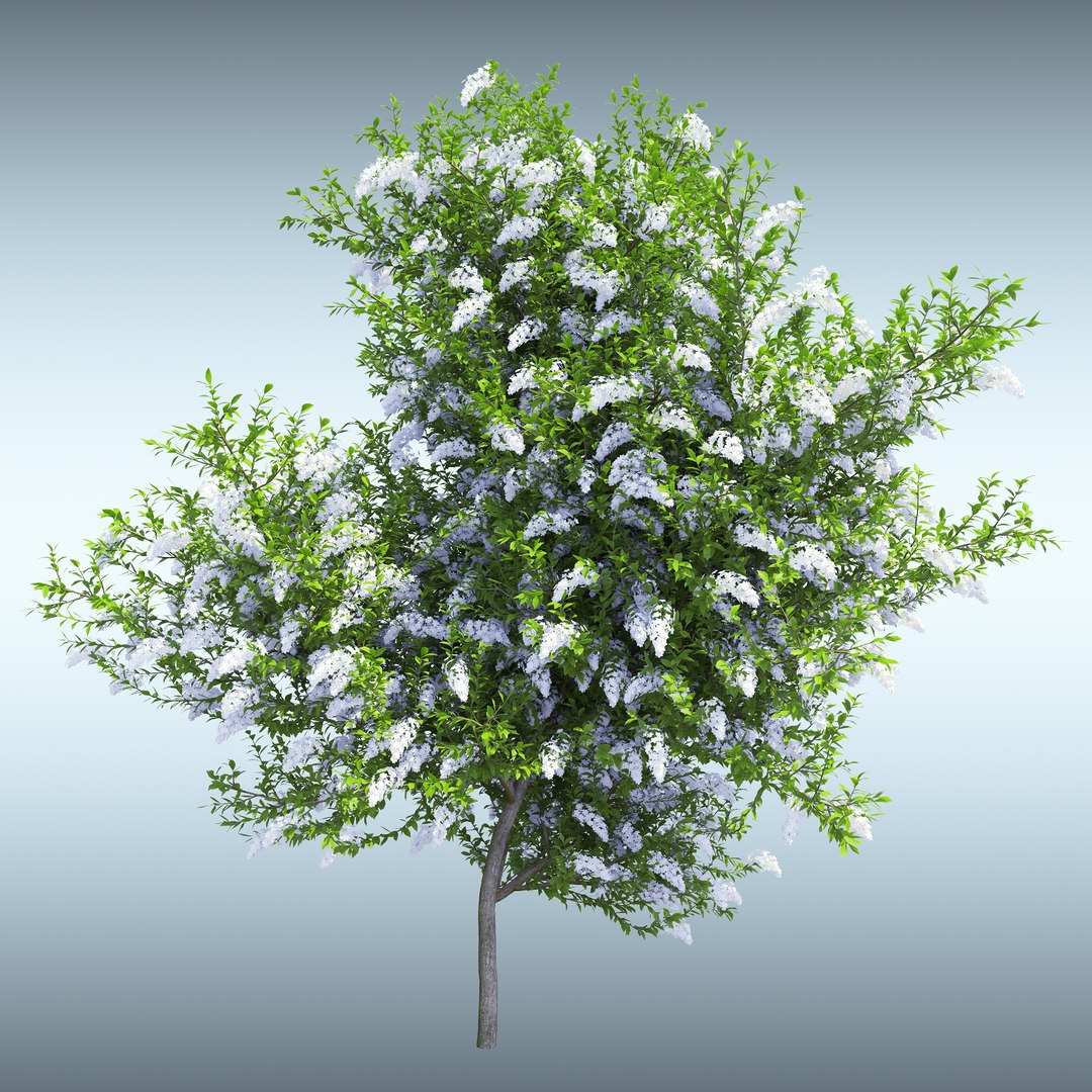 Tree Leaves 3d Max