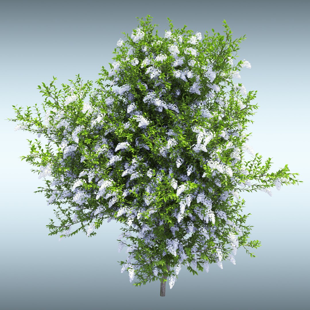 Tree Leaves 3d Max