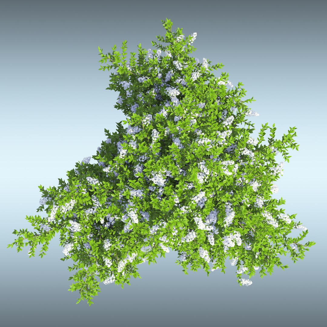 Tree Leaves 3d Max
