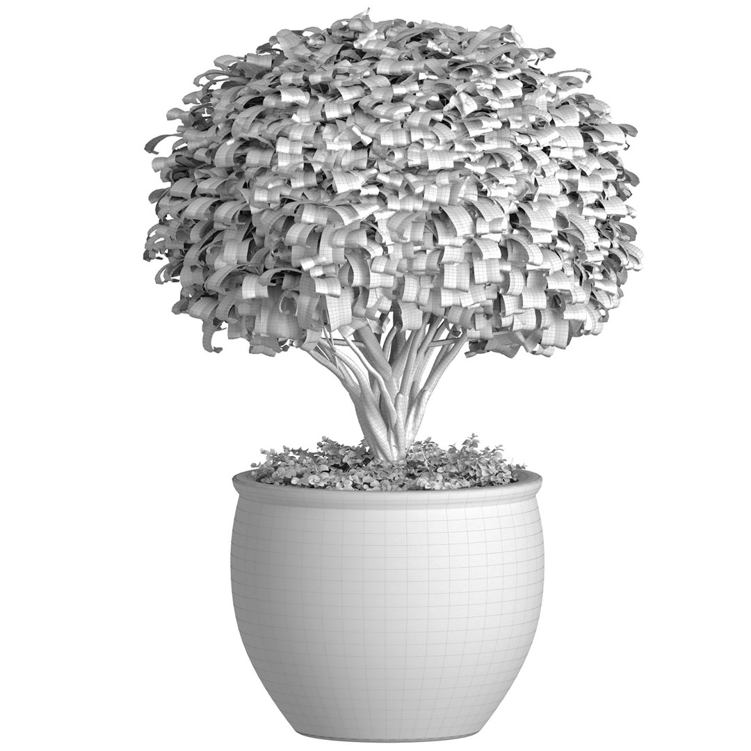 3D Model Decorative Tree In An Italian Vase Indoor Plant - TurboSquid ...