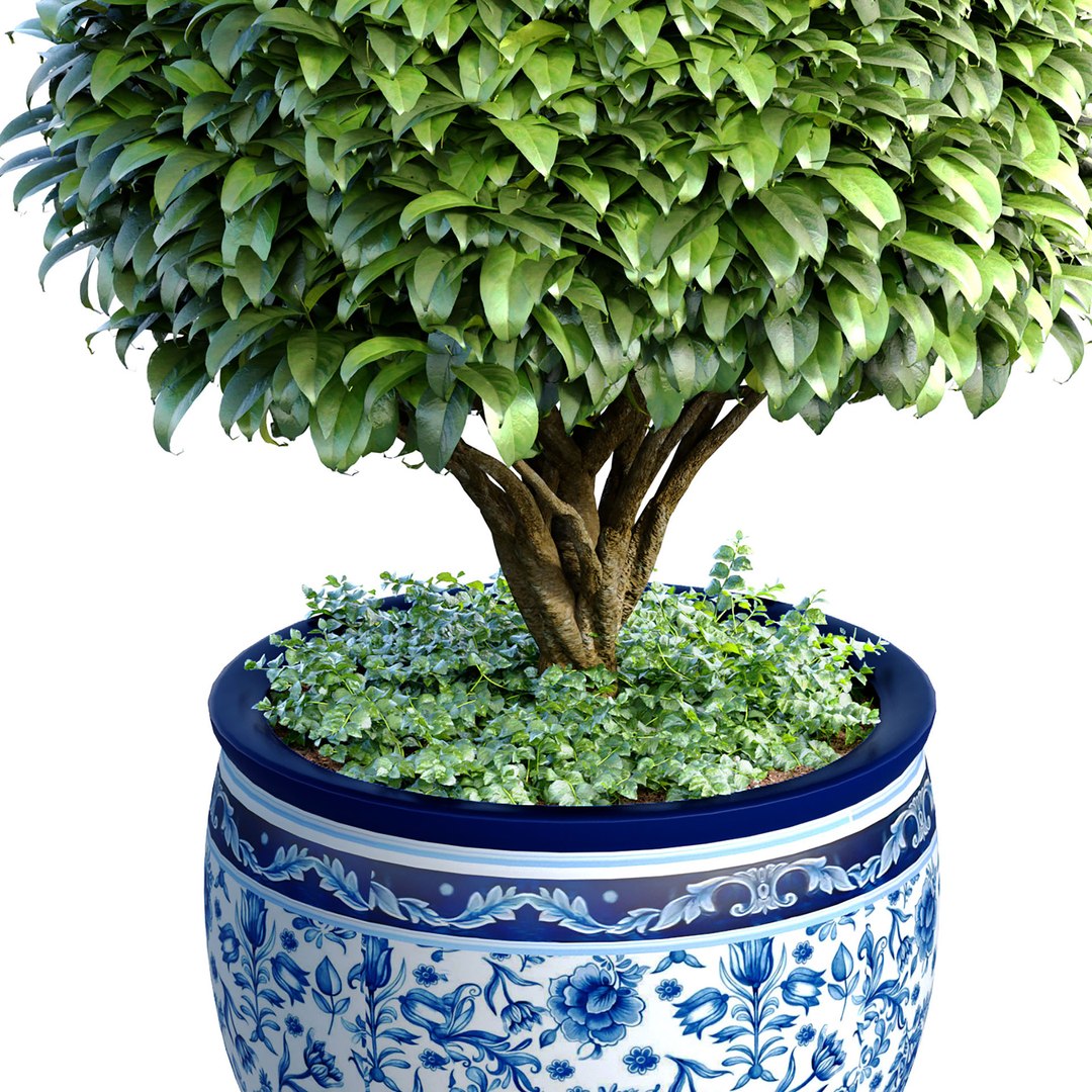 3D Model Decorative Tree In An Italian Vase Indoor Plant - TurboSquid ...