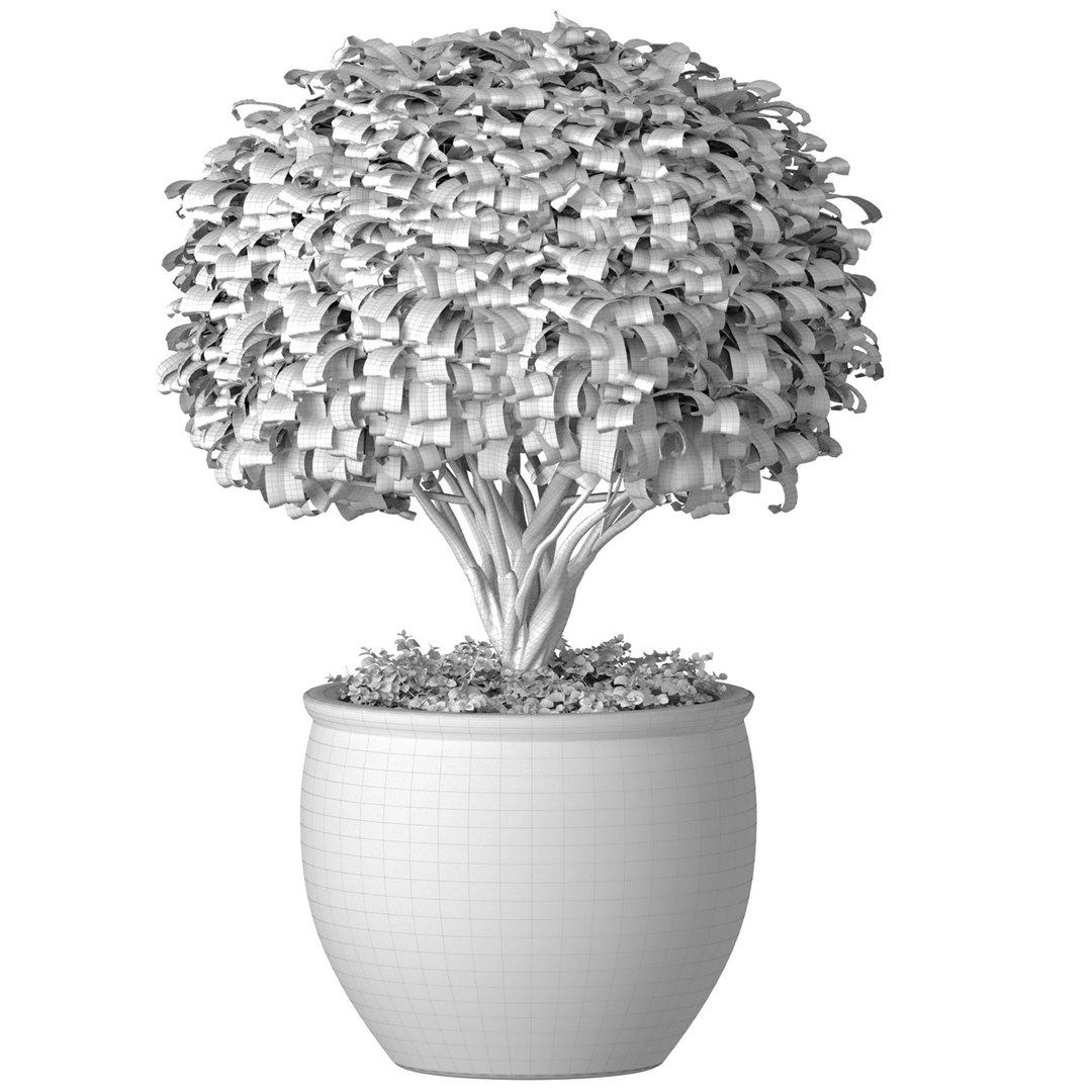 3D Model Decorative Tree In An Italian Vase Indoor Plant - TurboSquid ...