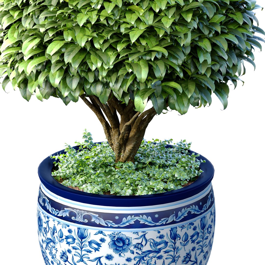3D Model Decorative Tree In An Italian Vase Indoor Plant - TurboSquid ...