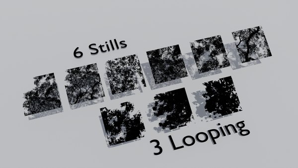 Tree Canopy GOBO Pack animiert und Stills Textur 3D-Modell - TurboSquid ...