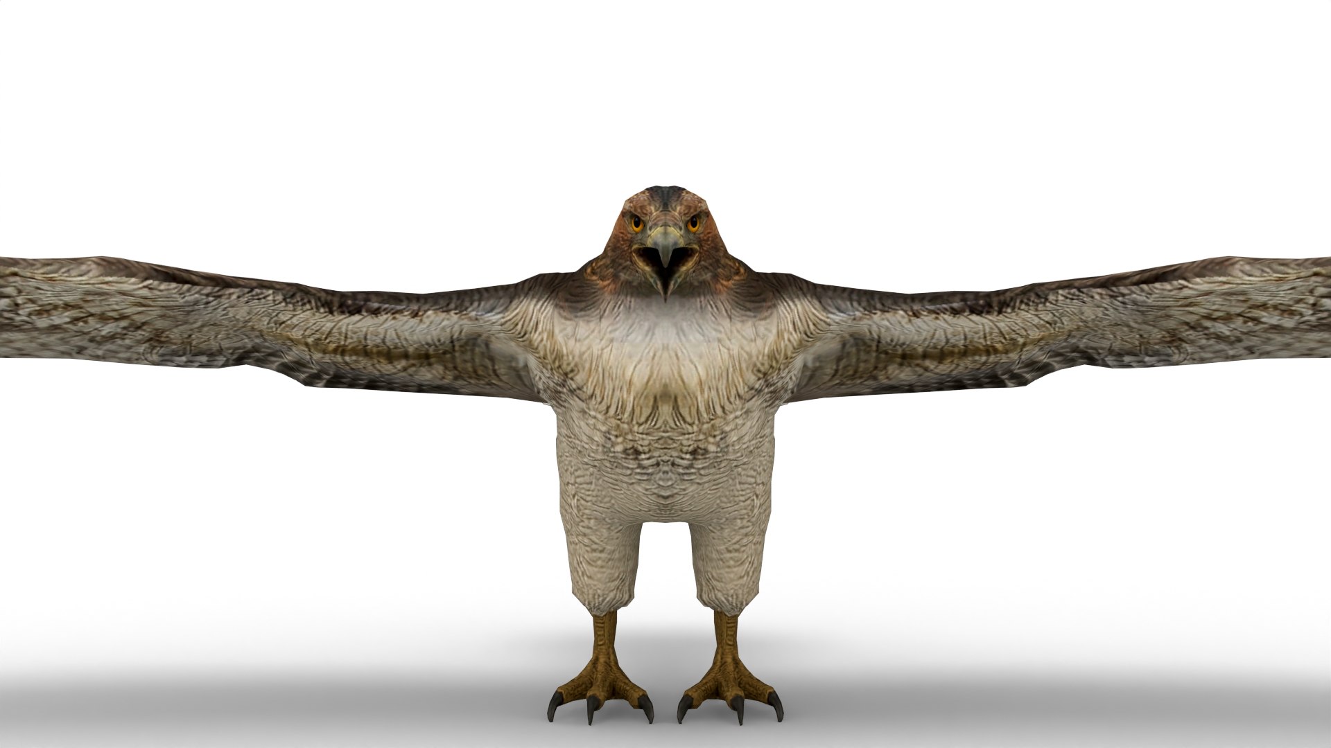 Sparrow Hawk 3D Model - TurboSquid 2296124