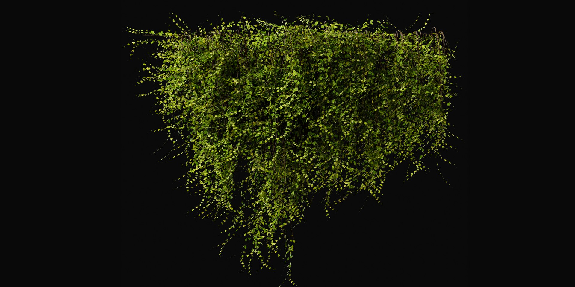 3D Collection Plant Vol 378 - Blender Model Model - TurboSquid 2095060