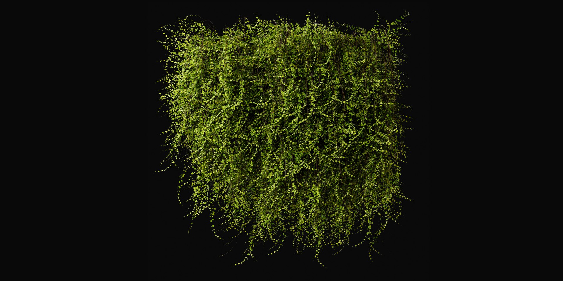 3D Collection Plant Vol 378 - Blender Model Model - TurboSquid 2095060